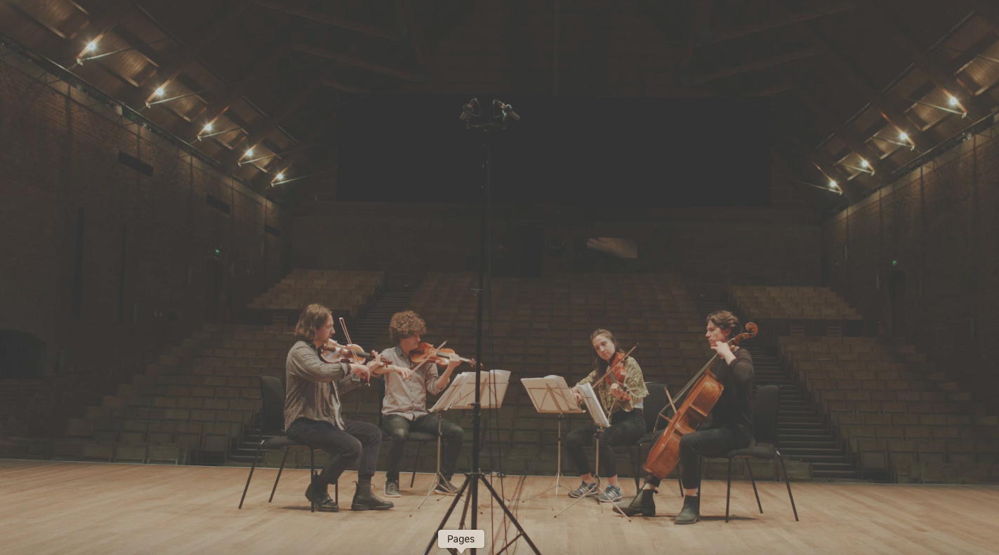 Ruisi Quartet's deeply personal approach with "Big House" - Pentatone