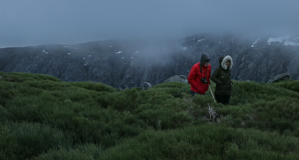 ‘We Are Two Abysses' documentary to feature Martin Helmchen's ...